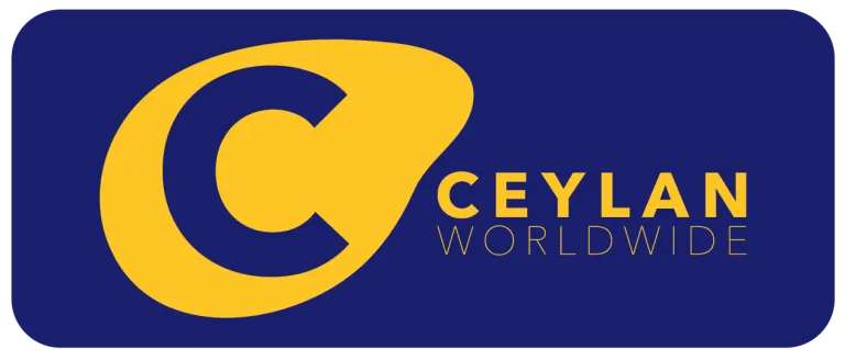 D Tech | Redefining IT Solutions in Sri Lanka